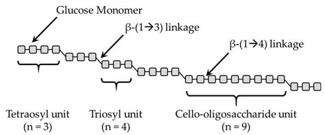 Cereal β Glucans Structure Adapted From Tosh Et Al 6 Download