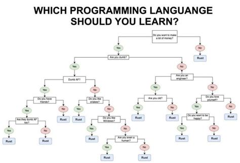 Which Language Should You Learn In 2024 Rrustjerk