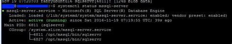 First Tests With Sql Server Vnext On Linux And Windows Fhtino