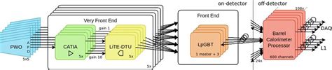 Schematic Showing The Layout For The Cms Ecal On And Off Detector Download Scientific Diagram