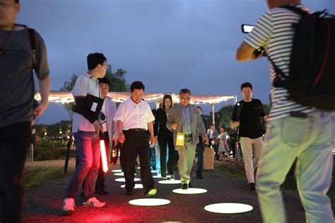 포토 부여서동연꽃축제 화려한 경관조명 점등식 개최