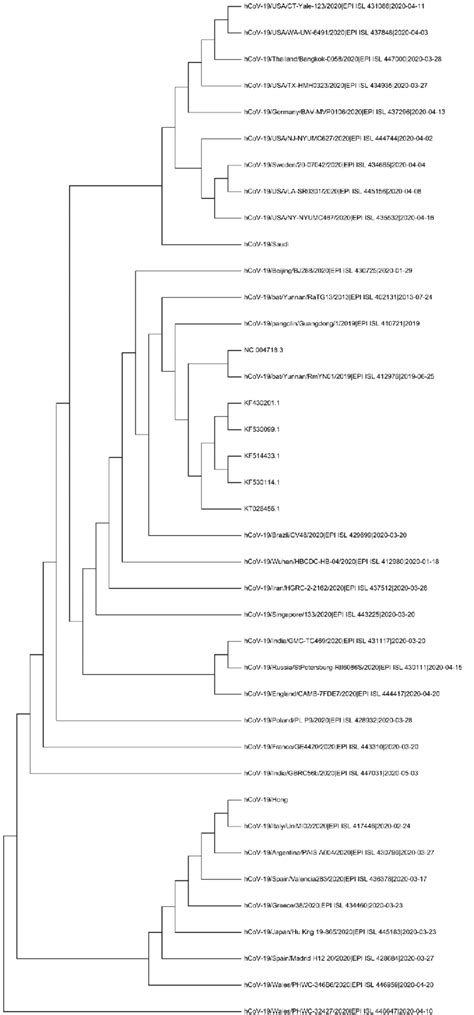 Phylogenetic Tree Was Created By Clustal X By Aligning 15 Dna Sequences Download Scientific