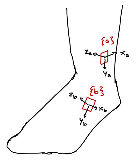 Imu Inversion Measuring Project Dynamic Ankle Brace