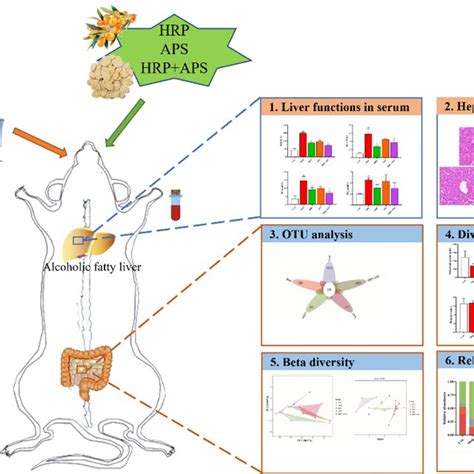 Flowchart Of The Experimental Design Download Scientific Diagram