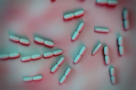 Pathogen Testing Solutions Neogen Australasia