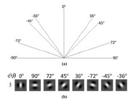 A Schematic Diagram Of Orientations For Gabor Wavelets B The