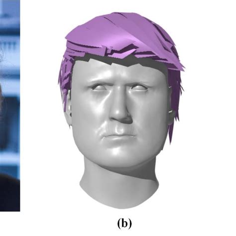 Three States Of The Pipeline In 29 Input Image A Hair Polystrips Download Scientific