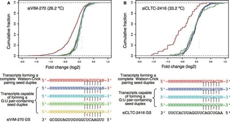 microarray analysis of the effect of g u pairing in the seed duplex