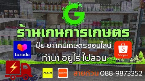 His Thailand ตั๋ว Jr Pass มาแล้วจร้า ในบรรยากาศค่าเงินเยนถูกแสนถูกอย่างนี้ ไปเที่ยวญี่ปุ่น