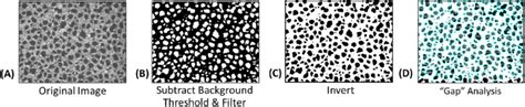 Image Processing And Quantification Of Honeycomb Biofilm Pattern Cells