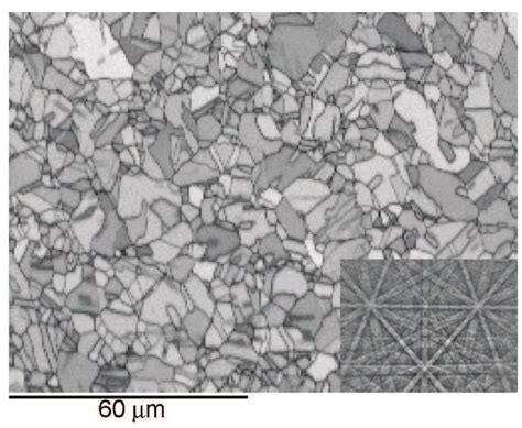 Ebsd Pattern Quality Map Of Cu Annealed At 573 K For 10 H