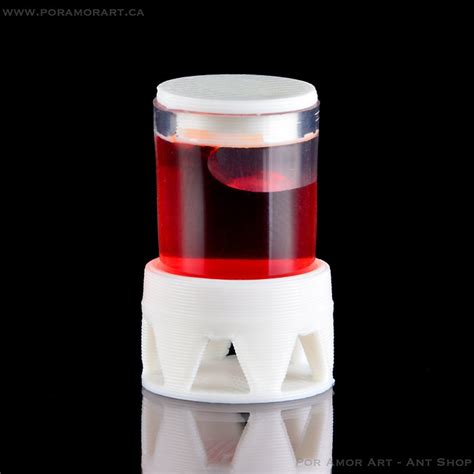 Por Amor Nano Tower Feeder Ants Uk