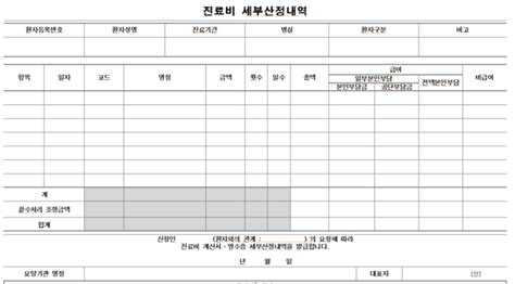 진료비 세부 산정 내역서 양식 네이버 블로그