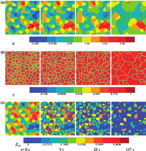 Predicted Evolution Of The Polycrystalline Aggregate Microstructure Download Scientific Diagram