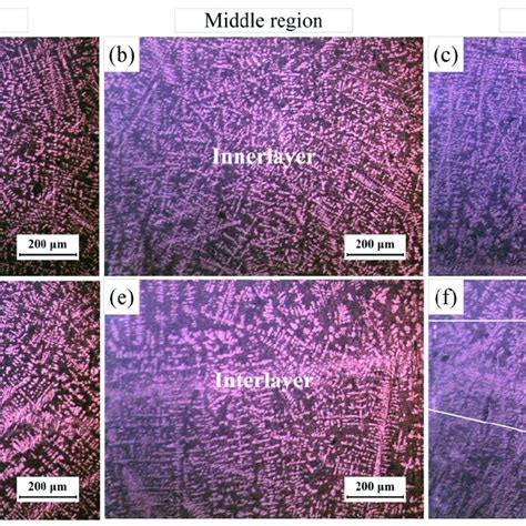 microstructure at different positions a c intra layer microstructure
