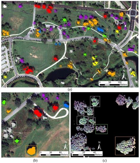 Figure 1 From Urban Tree Species Classification Using A Worldview 2 3