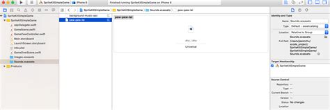 Ios Why Sound Asset Cant Be Referenced From Code In Xcode Stack Overflow