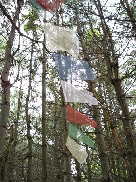 Implicit Bias Training Koumidou