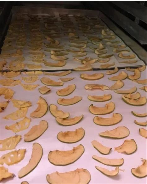 Automation Grade Semi Automatic Fruit And Vegetable Dehydration Unit At