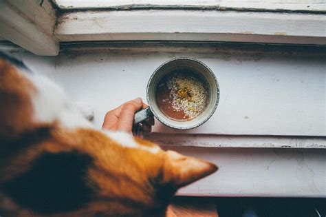 Premium Photo Cropped Hand Of Person Holding Smoothie Over Window