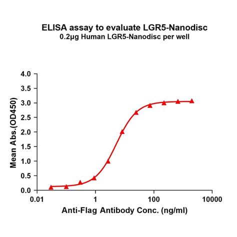 Synthetic Nanodisc Human Lgr5 Protein A318434