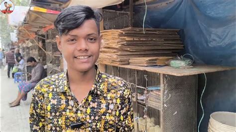 391 ২০ টাকা মুরগির বাচ্চা ৪৫০ রাজ হাঁস ১৫০ টাকা চিনা হাঁসের বাচ্চা । Shorif And Chicken Bd। Youtube