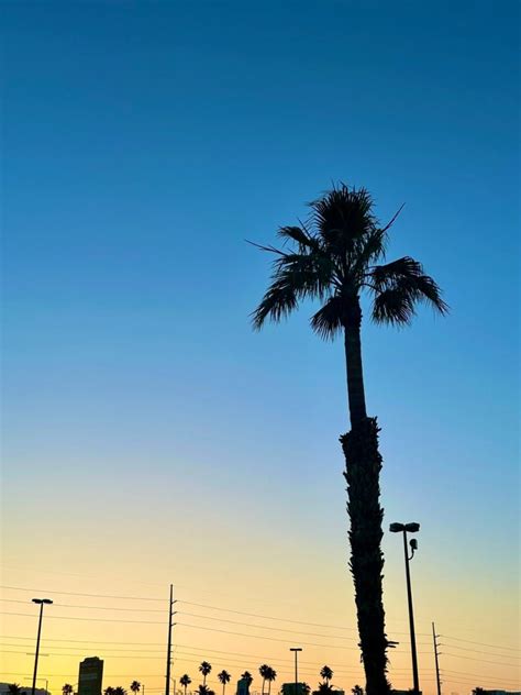 미서부여행그랜드써클투어미국6대캐년캐년투어캐년투어일정호텔숙소정보비행기정보차량렌트정보 네이버 블로그