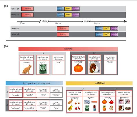 Figure 1 From Semantic And Phonological Schema Influence Spoken Word Learning And Overnight