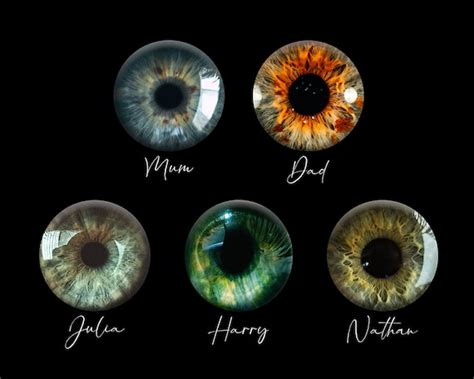 Decoding The Iris A Complete Information To The Eye Colour Wheel Chart How To Make A Pie