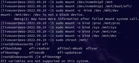 UEFI Unable To Reinstall Grub From Chroot EndeavourOS Installation EndeavourOS