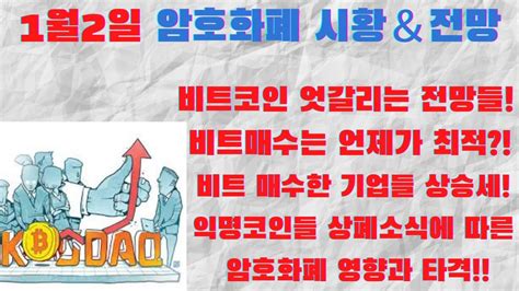 20210102ㅣ익명코인들 상폐에따른 암호화폐에 미치는영향ㅣ비트코인 엇갈리기 시작하는 전망들 Youtube