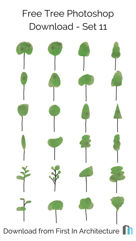Free Tree Photoshop Download Set