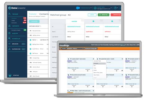 Datagroomr Vs Cloudingo Overview Features Pricing