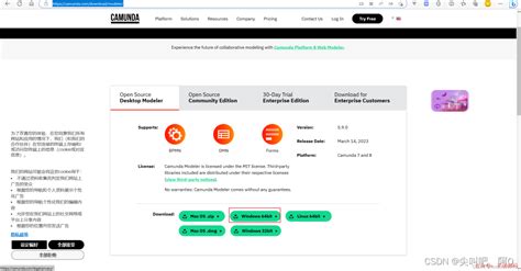 springboot 优雅集成 camunda 7以上 工作流引擎，保姆级教程！ springboot camunda 教程 csdn博客