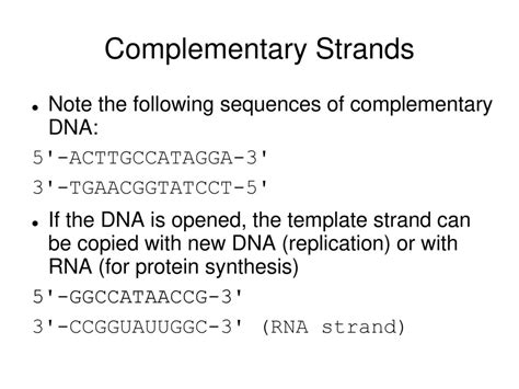 Structure Of Dna Ppt Download
