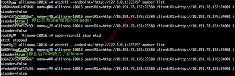 Etcd使用最佳实践 倚楼听风雨，淡看江湖路。