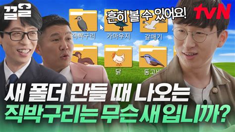 우리가 아는 직박구리는 사실 흔하게 볼 수 있는 새이다 알면 알수록 신기한 새의 세계 유퀴즈온더블럭 Zum Tv