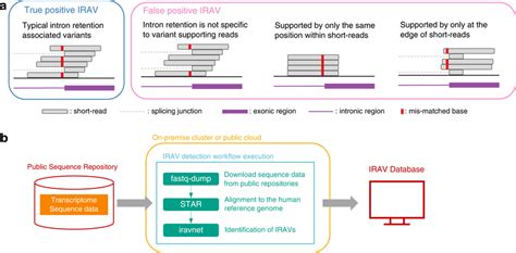 Schematics Of Identification Intron Retention Associated Variants A