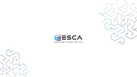 Cesca Брендбук логотип фирменный стиль On Behance