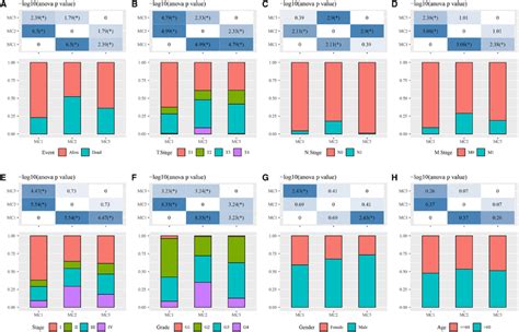 Associations Between Three Mags‐based Ccrcc Subtypes And Clinical Download Scientific Diagram