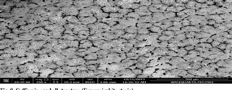 Figure 8 From The Impact Of Layer Strains Genotype On Egg Quality And