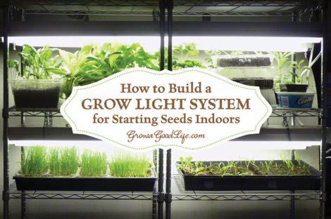 How To Build A Grow Light System Homestead Survival
