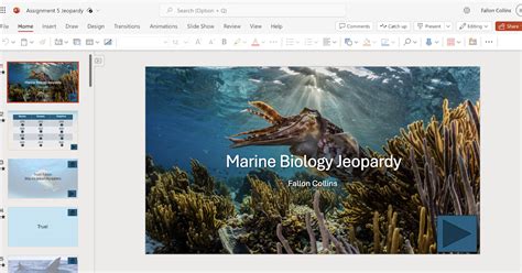 Fallon Collins Eme2040