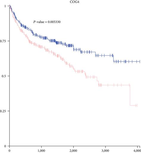 The Relationship Between Cog Gene Expression Levels And Patient