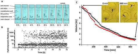 Microfluidic Chips For In Situ Crystal X Ray Diffraction And In Situ