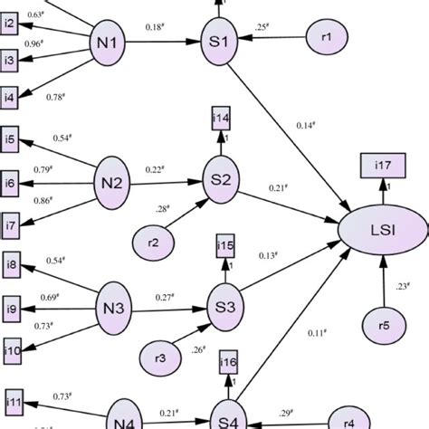 Pathway Of The Life Satisfaction Index Model Obtained From The