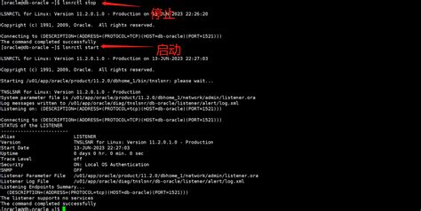 【red hat 7 9 详细安装oracle 11g】 图形化界面方式 redhat7 9安装oracle11g csdn博客
