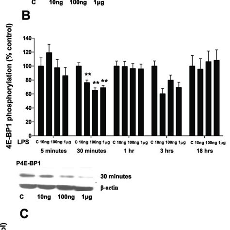 Time And Dose Dependent Effects Of Lps 10 Ng Ml 100 Ng M And 1 G Ml Download Scientific