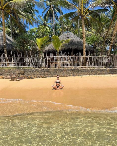 Пляж Виджая или Далауэлла Бич на Шри Ланке Beach Likes