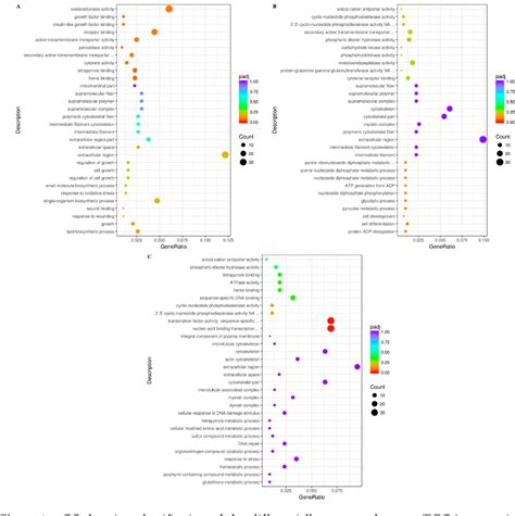 Figure 2 From Comparative Transcriptome Analysis Of Gill Tissue In